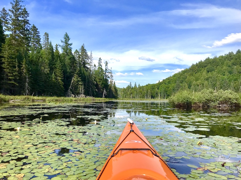 Tim Lake - 18 Hours of Awesome! - CAMPERCHRISTINA.COM