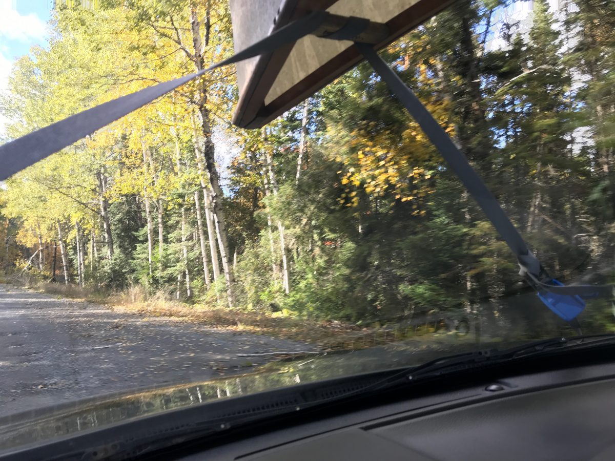 Temagami - Red Squirrel Loop - Access Denied - CAMPERCHRISTINA.COM